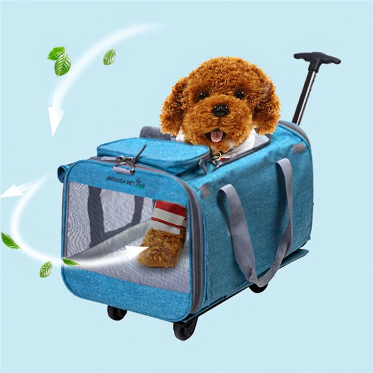 Dog travel bag with wheels store